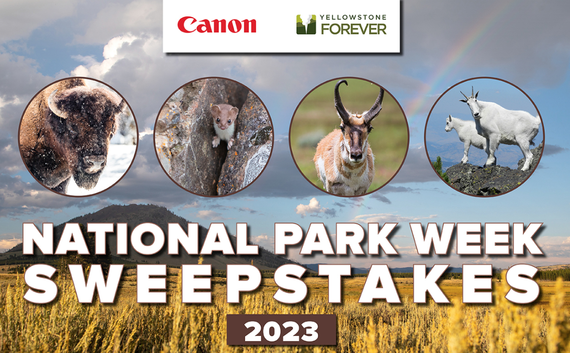 Canon "National Park Week" Sweepstakes