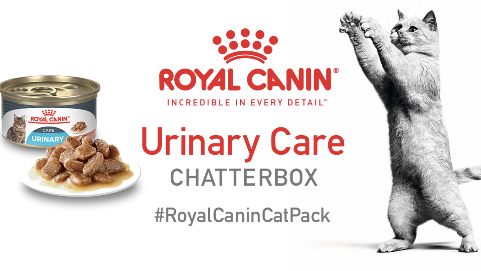 Chatterbox: Apply to Get a Royal Canin Urinary Care Chatterbox Chat ...